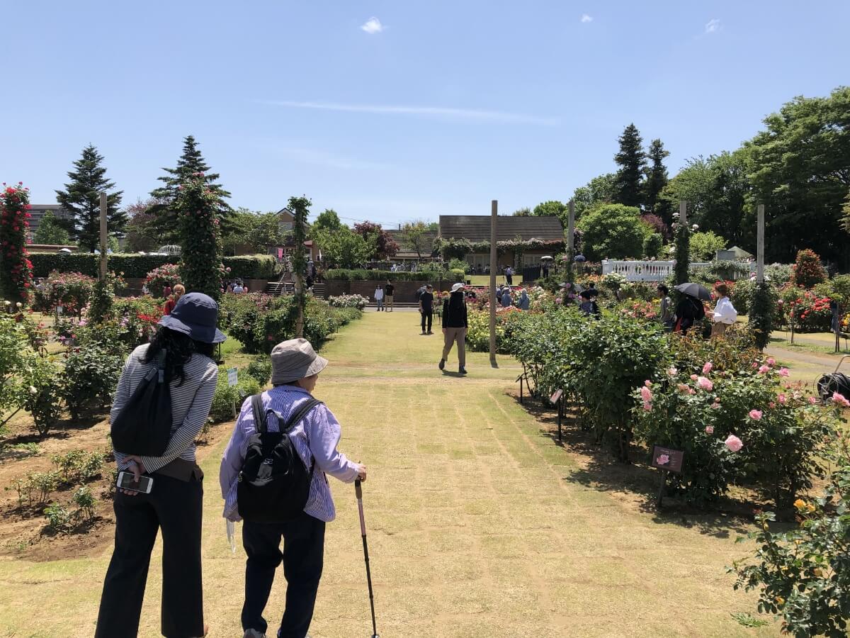 【京成バラ園】見どころ・所要時間・基本情報（営業時間・料金・アクセス・駐車場）＜評判・口コミ＞ | トラベル ウェガジン[Travel ...