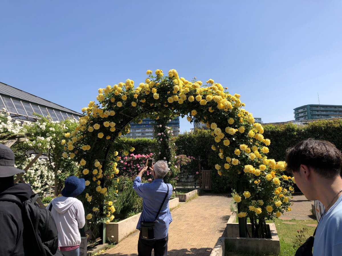 【京成バラ園】見どころ・所要時間・基本情報（営業時間・料金・アクセス・駐車場）＜評判・口コミ＞ | トラベル ウェガジン[Travel ...